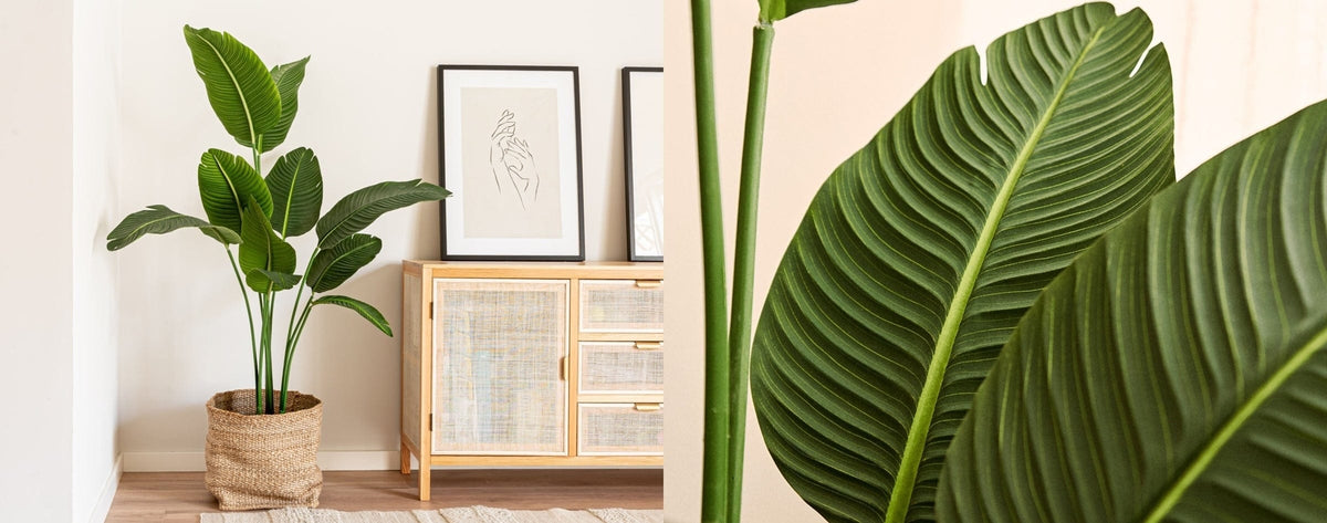 Blaine - Plantas y Flores Artificiales